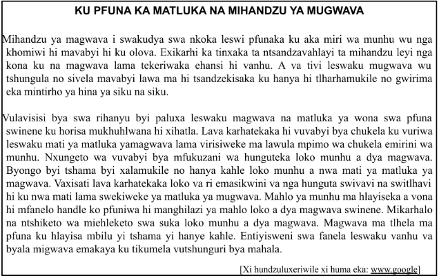 Grade 12 Xitsonga First Additional Language Past Paper 1