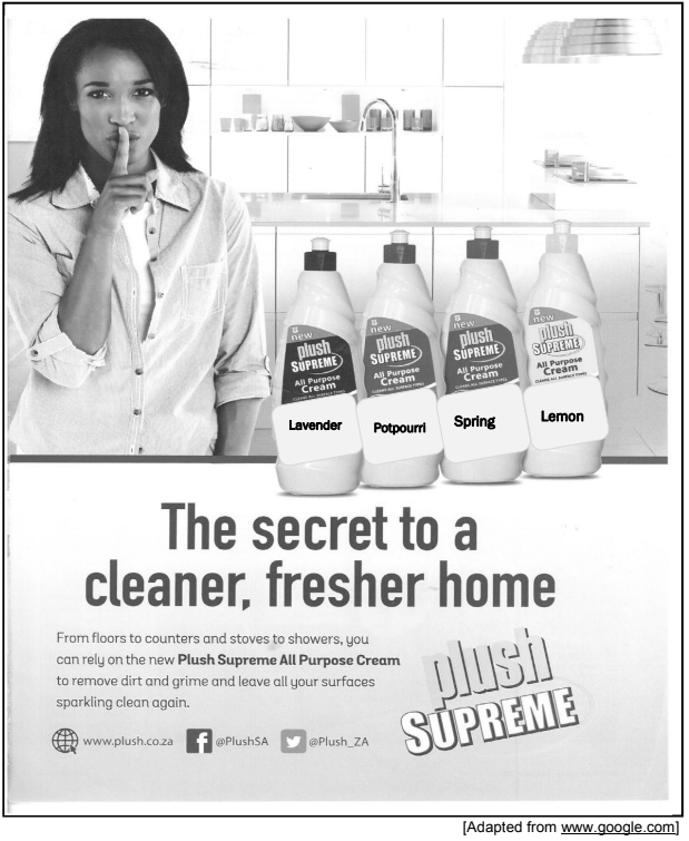 Grade 12 English First Additional Language Past Paper 1