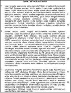 Grade 12 IsiZulu First Additional Language Past Paper