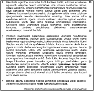 Grade 12 IsiZulu First Additional Language Past Paper