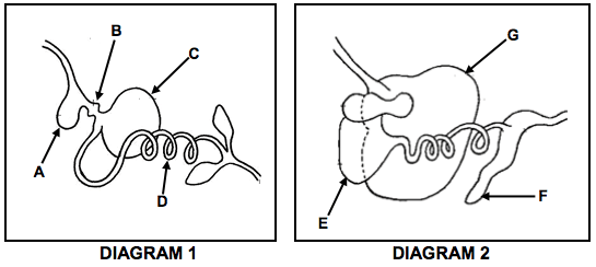 Grade 12 Agricultural Science Past Paper